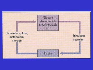 Pancreas lec | PPT