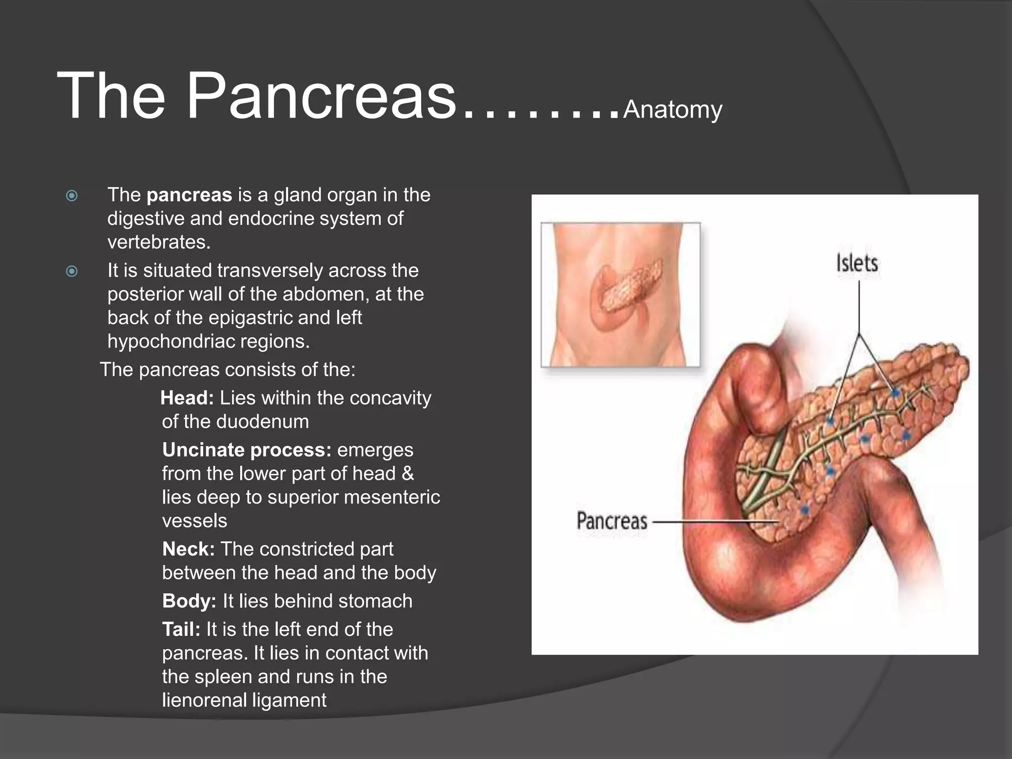 Pancreas | PPSX