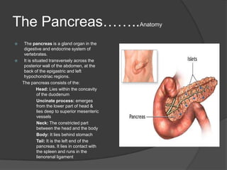 Pancreas | PPSX