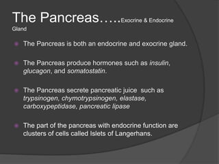 Pancreas | PPSX