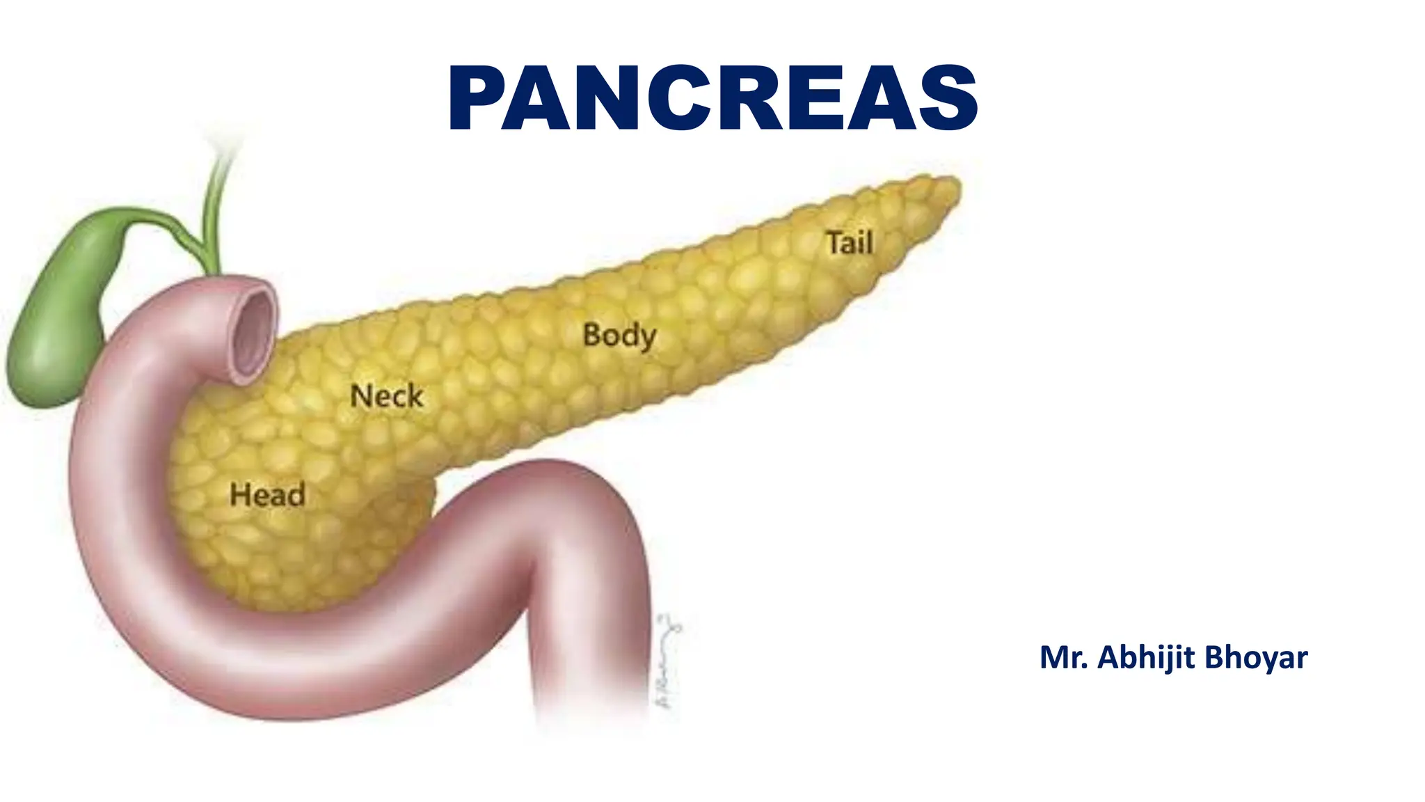 Pancreas_Nursing.pptx