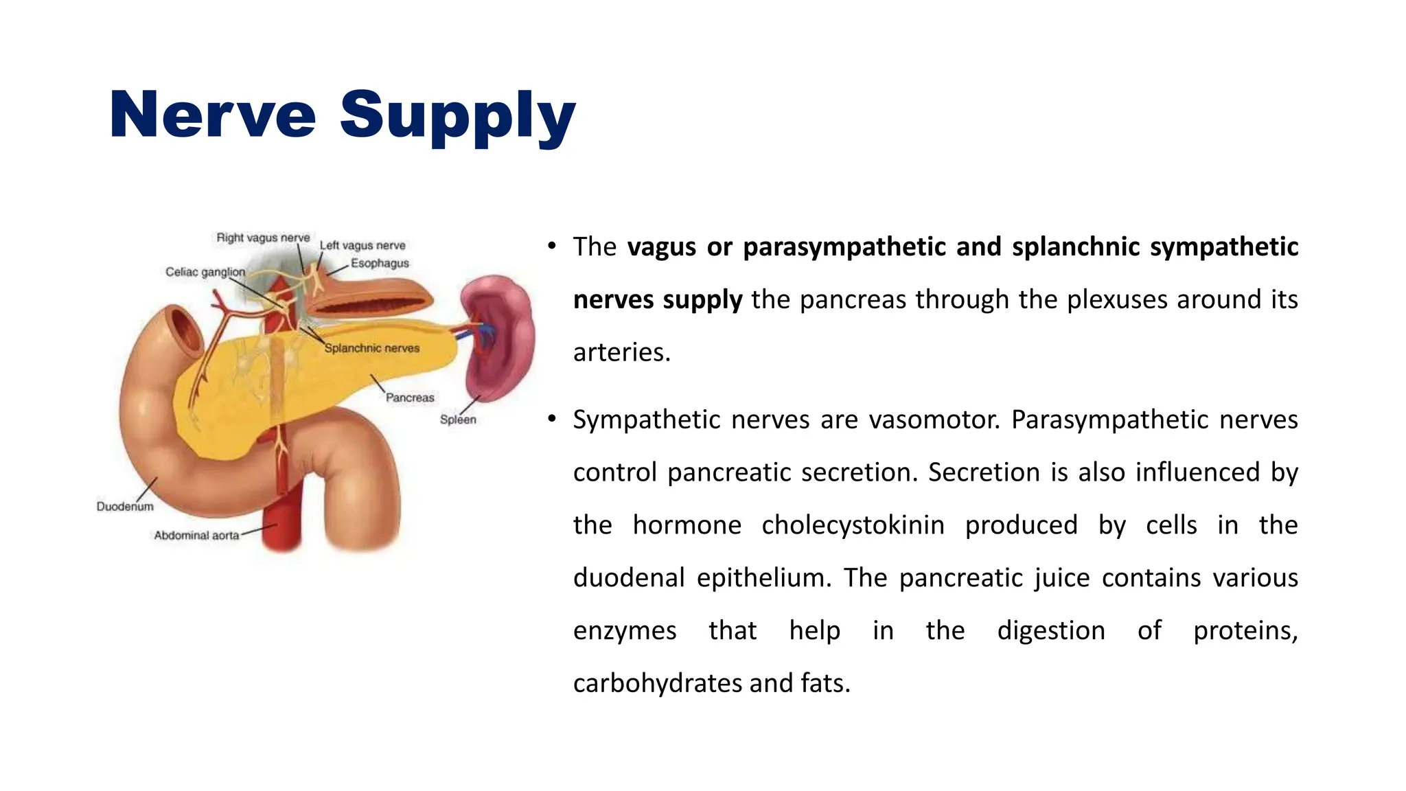 Pancreas_Nursing.pptx