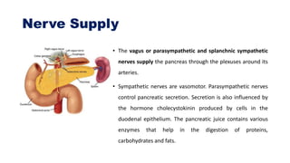 Pancreas_Nursing.pptx