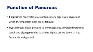Pancreas_Nursing.pptx