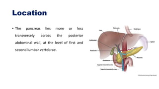 Pancreas_Nursing.pptx