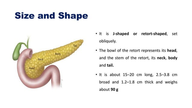 Pancreas_Nursing.pptx
