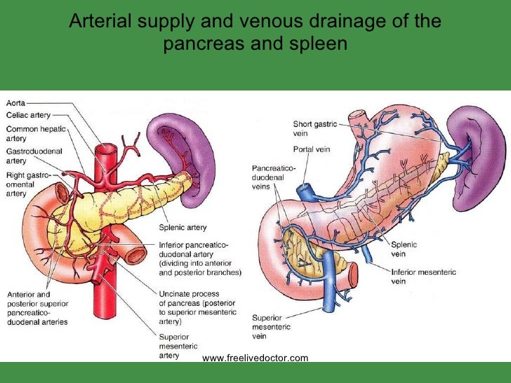 Pancreas pathology