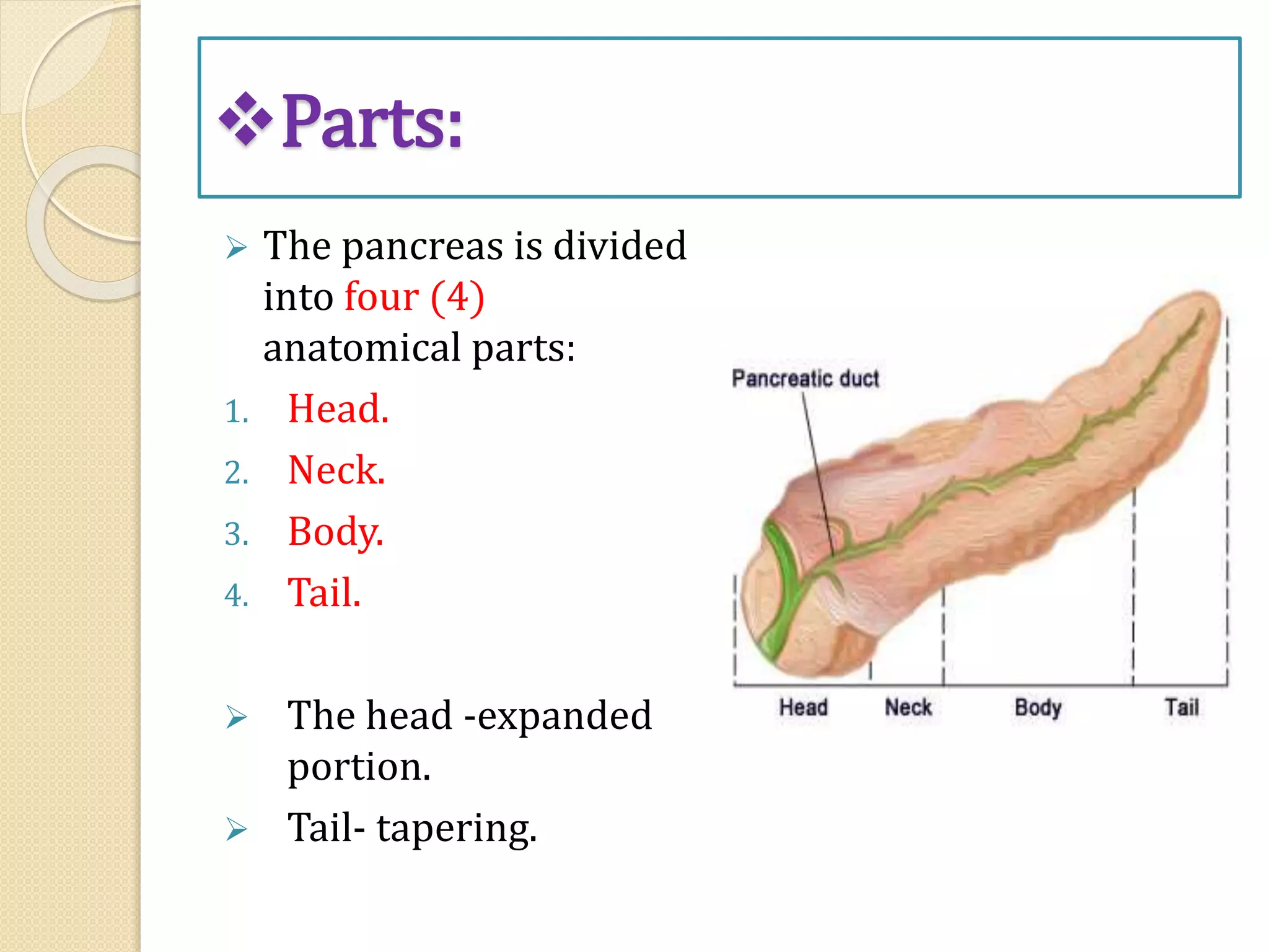 Pancreas PPT.pptx