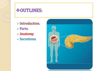 Pancreas PPT.pptx