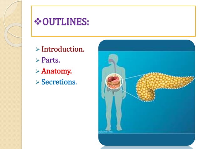 Pancreas PPT.pptx | Endocrine and Metabolic Diseases | Diseases and ...