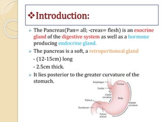 Pancreas PPT.pptx