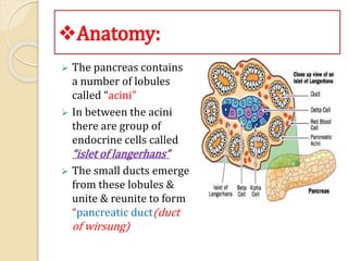 Pancreas PPT.pptx