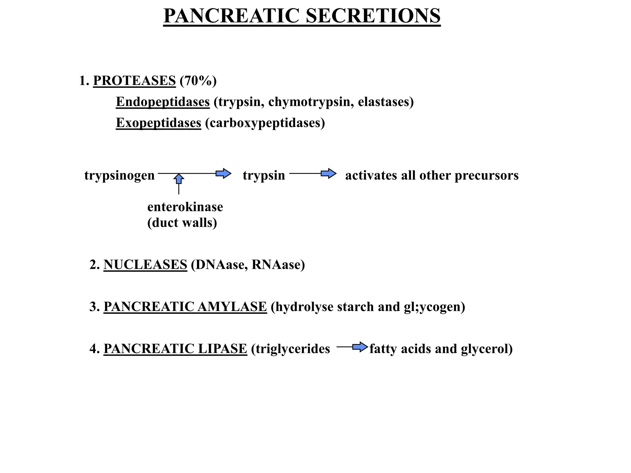 The pancreas is both an endocrine and exocrine gland. It is located in ...