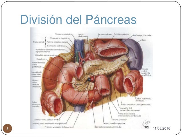 Ultrasonografía de Páncreas patológico