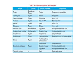 Pancreas secretion.pdf of detailed notes of pancreas | PDF