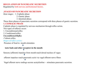Pancreas secretion.pdf of detailed notes of pancreas | PDF