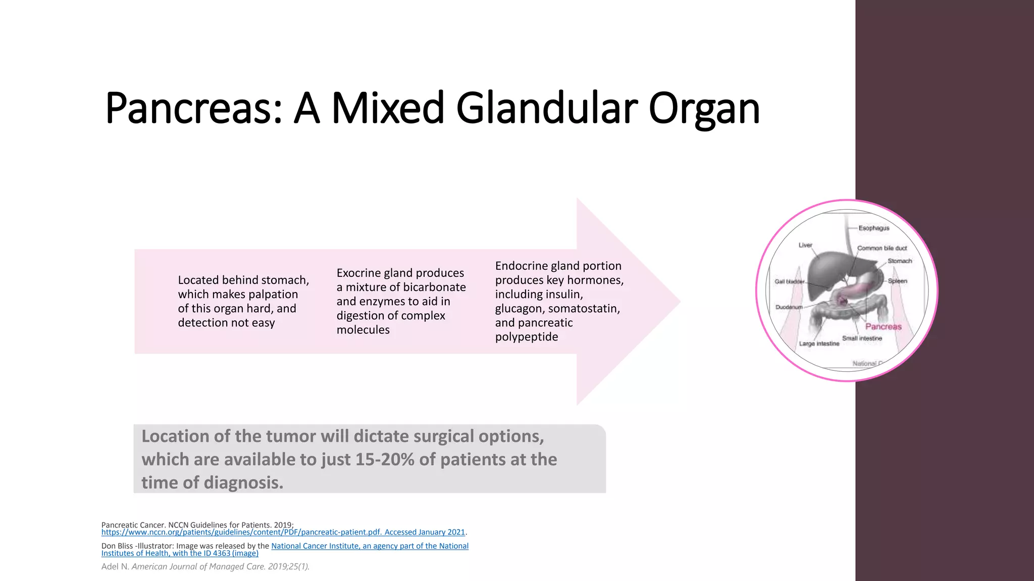 Pancreatic Cancer | PPT