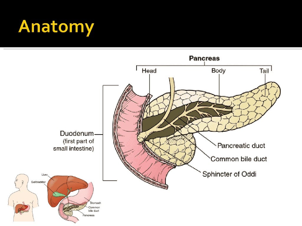 Pancreatic Cancer
