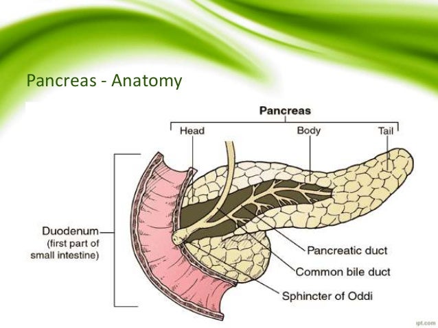 Pancreatic cancer