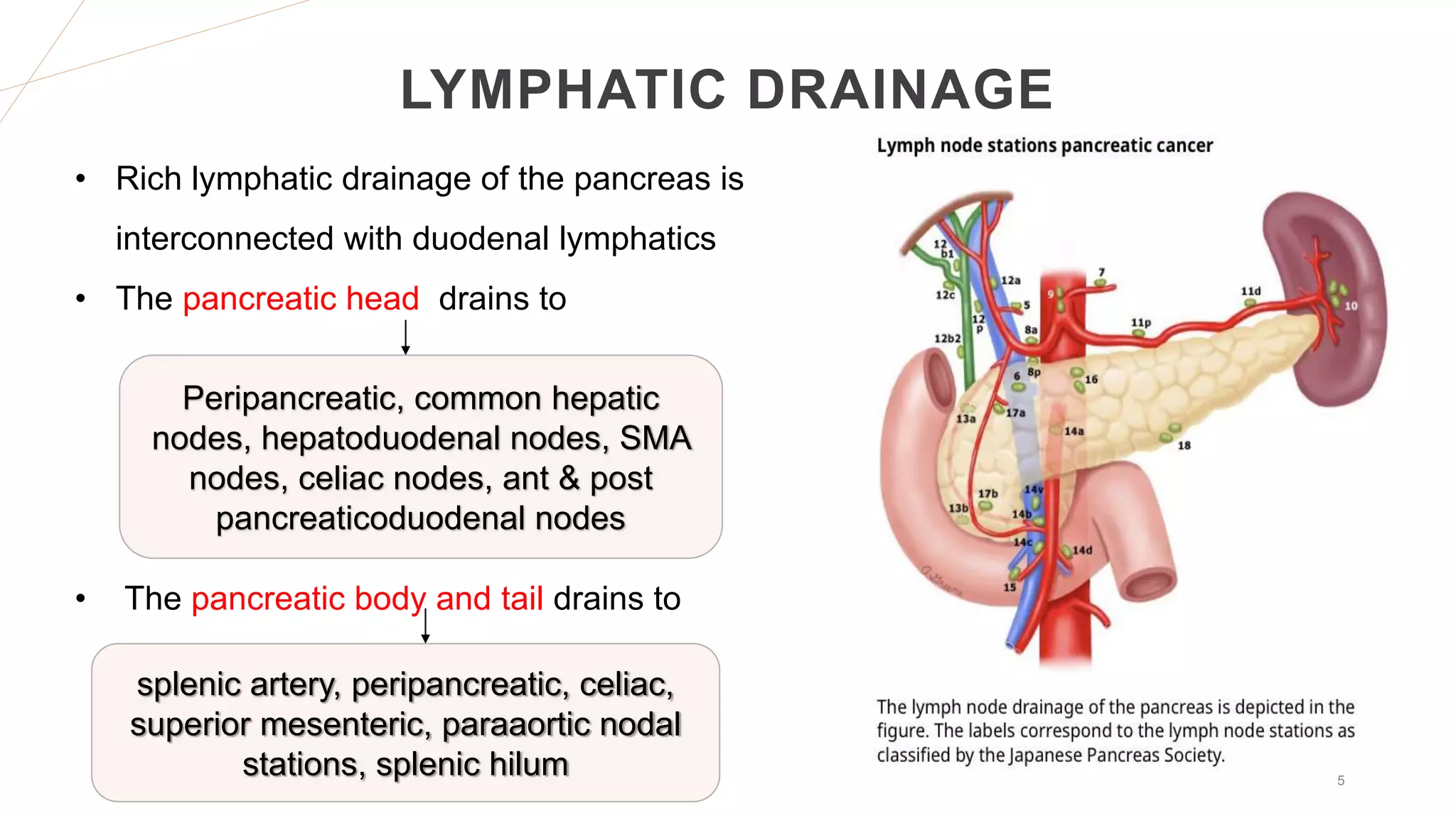 management of pancreatic cancer.pptx