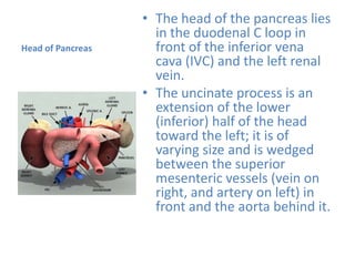 Pancreatic carcinoma | PPTX
