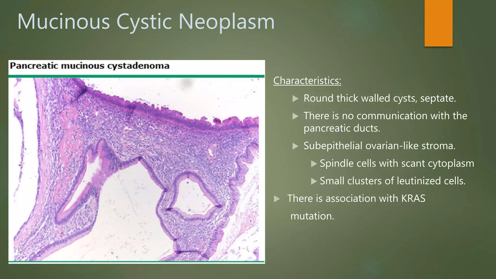 Pancreatic cystic neoplasm: Definition, Classification, Diagnosis and ...