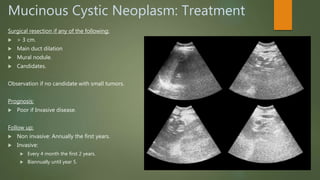 Pancreatic cystic neoplasm: Definition, Classification, Diagnosis and ...