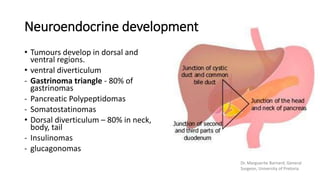 Pancreatic development and aberations - Dr M Barnard | PPT