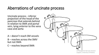 Pancreatic development and aberations - Dr M Barnard | PPT