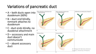 Pancreatic development and aberations - Dr M Barnard | PPT