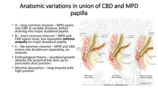 Pancreatic development and aberations - Dr M Barnard | PPT