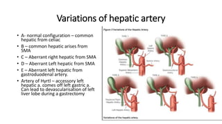 Pancreatic development and aberations - Dr M Barnard | PPT