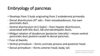 Pancreatic development and aberations - Dr M Barnard | PPT
