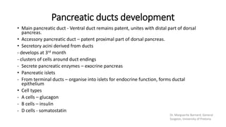 Pancreatic development and aberations - Dr M Barnard | PPT