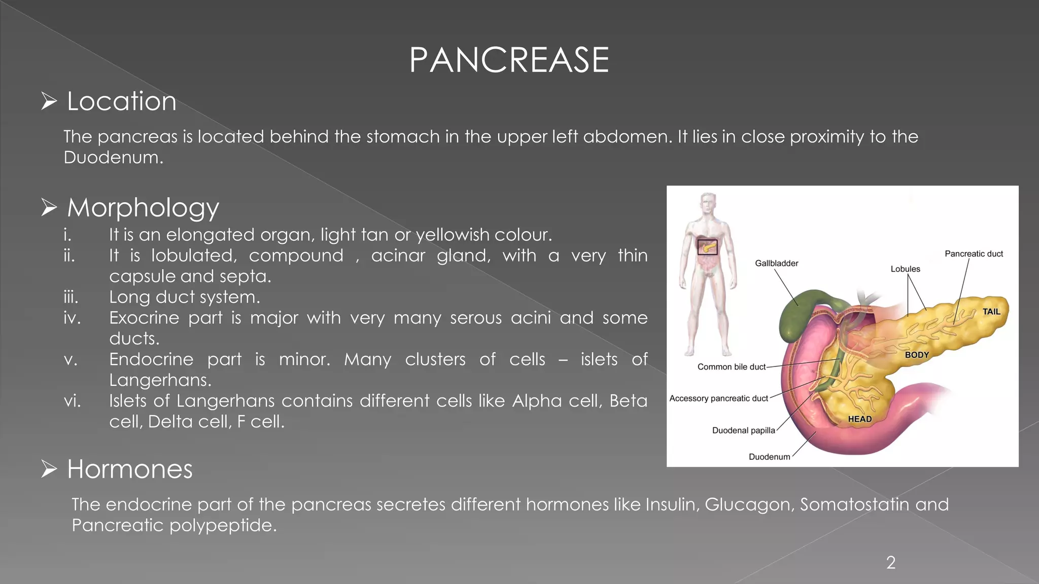 Pancreatic diseases | PDF