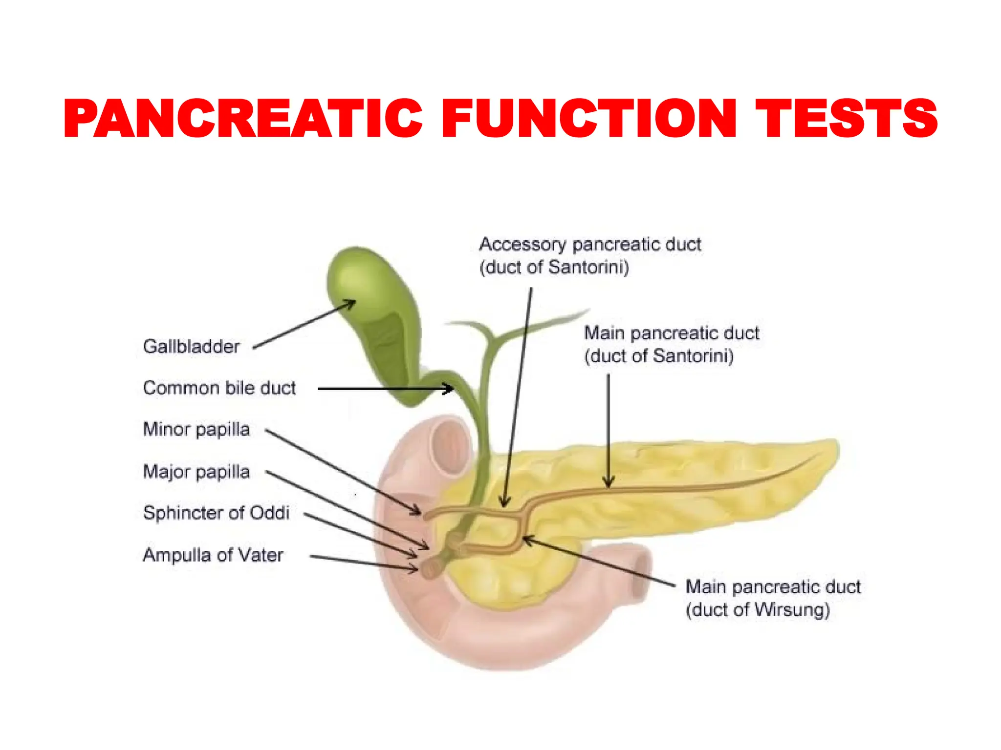 Pancreatic function tests and its details .pptx