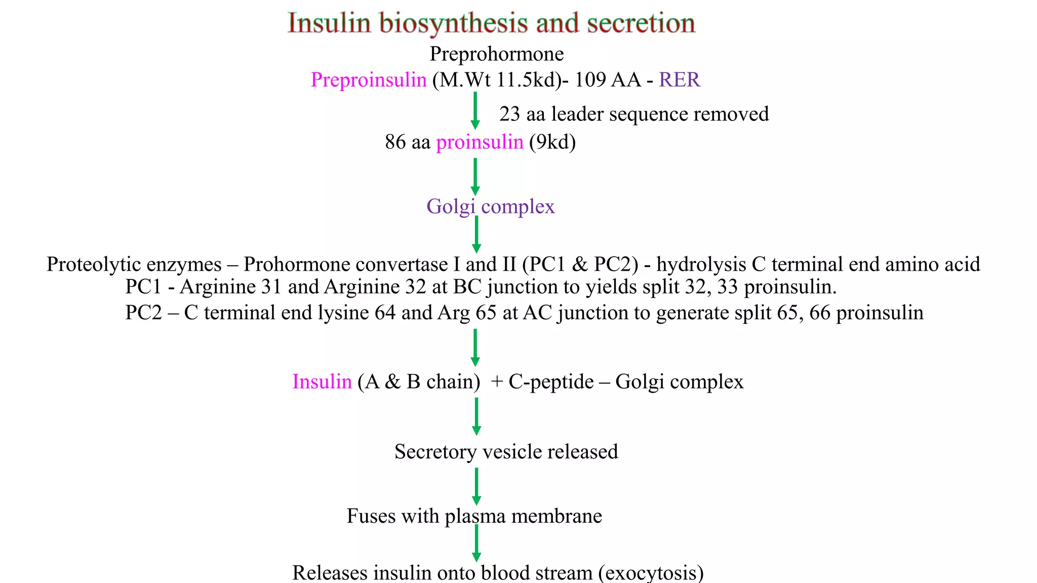 Pancreatic hormone - Endocrinology for biochemistry | PPTX