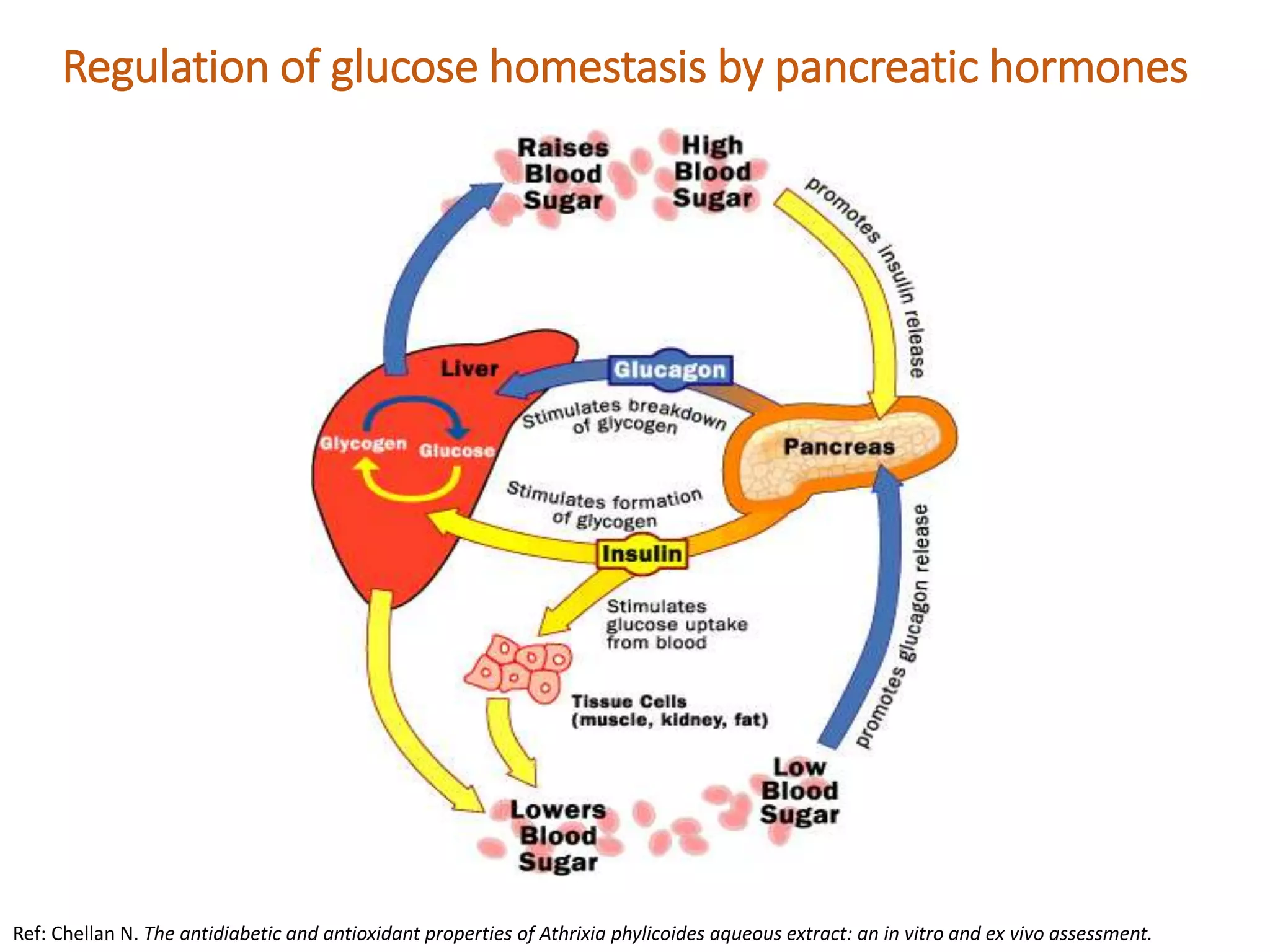 Pancreatic Hormones | PPTX