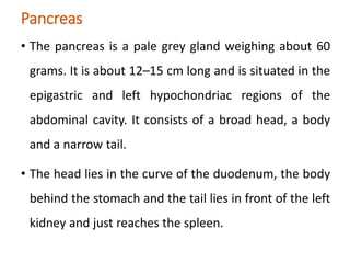Pancreatic Hormones | PPTX