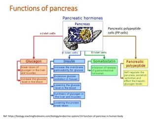 Pancreatic Hormones | PPTX