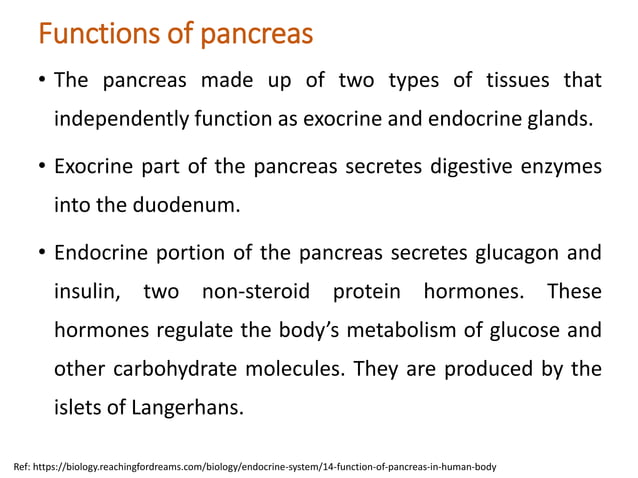 Pancreatic Hormones | PPTX | Endocrine and Metabolic Diseases ...