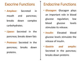 Pancreatic Hormones | PPTX
