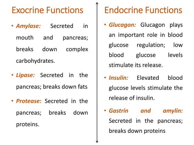 Pancreatic Hormones | PPTX | Endocrine and Metabolic Diseases ...