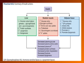 Pancreas: Structure, Hormones, Functions & Disorders | PPT