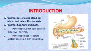 Pancreatic Juices Aka Enzyme