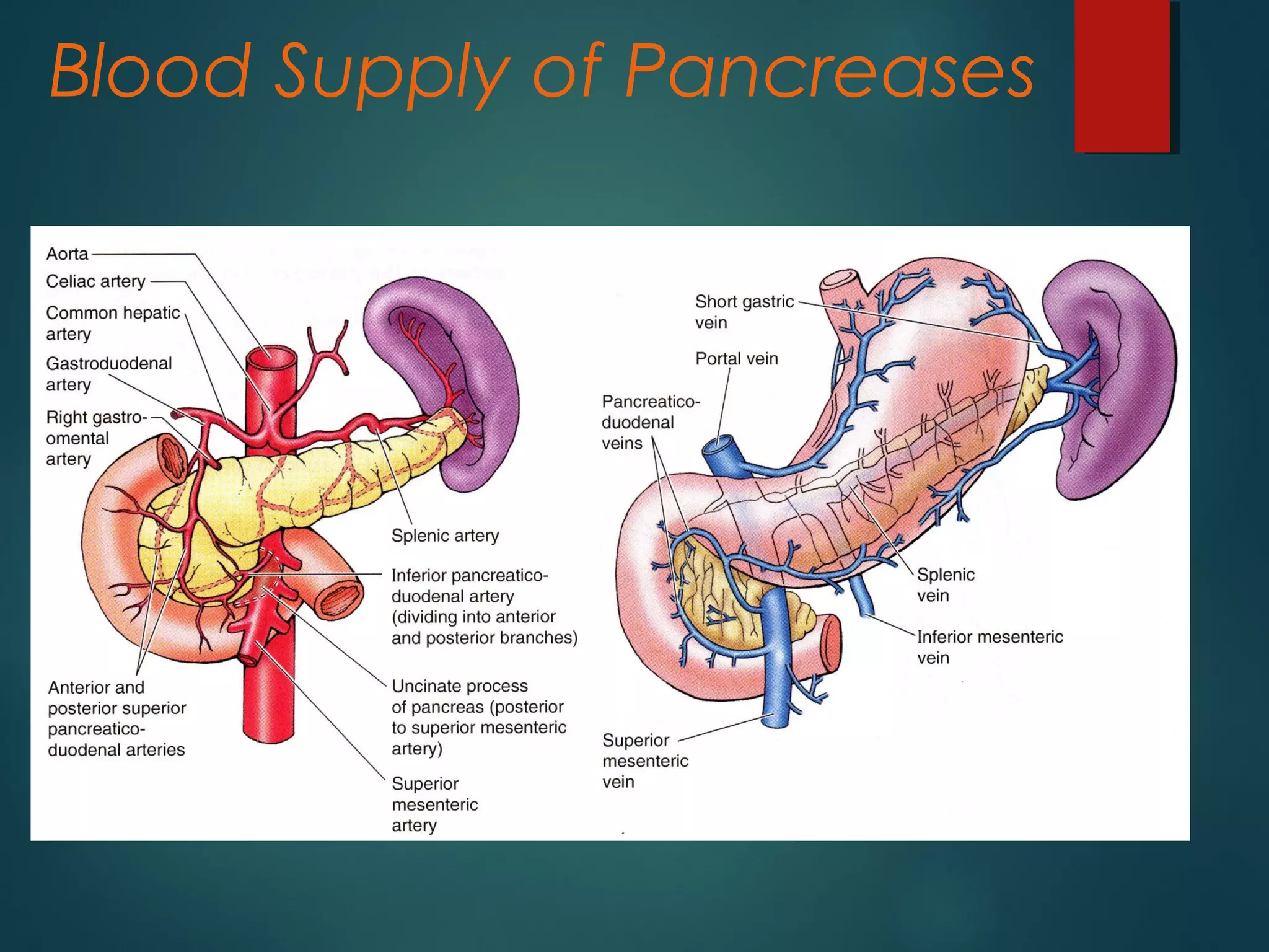 Pancreatico pleural fistula | PPT