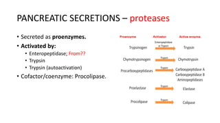 GASTROINTESTINAL SYSTEM. Pancreatic physiology .pdf