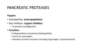 GASTROINTESTINAL SYSTEM. Pancreatic physiology .pdf