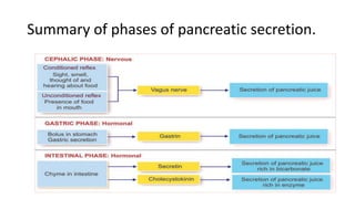 GASTROINTESTINAL SYSTEM. Pancreatic physiology .pdf
