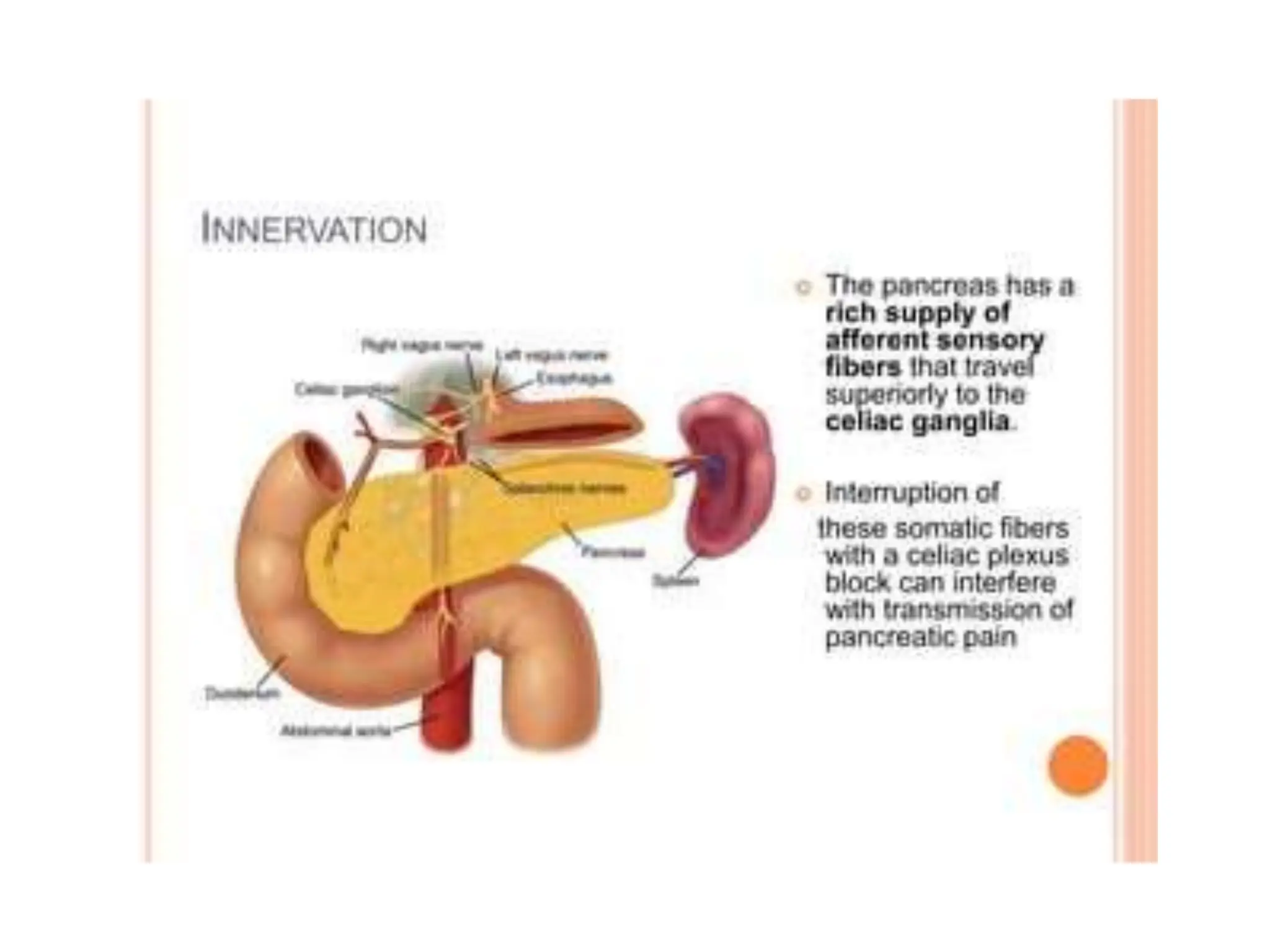 PANCREATIC TUMORS.pptx